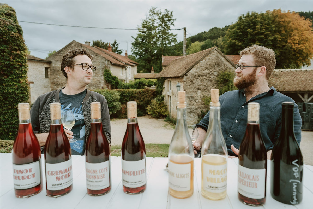 Santini Collective Highlight – French Wine Centre